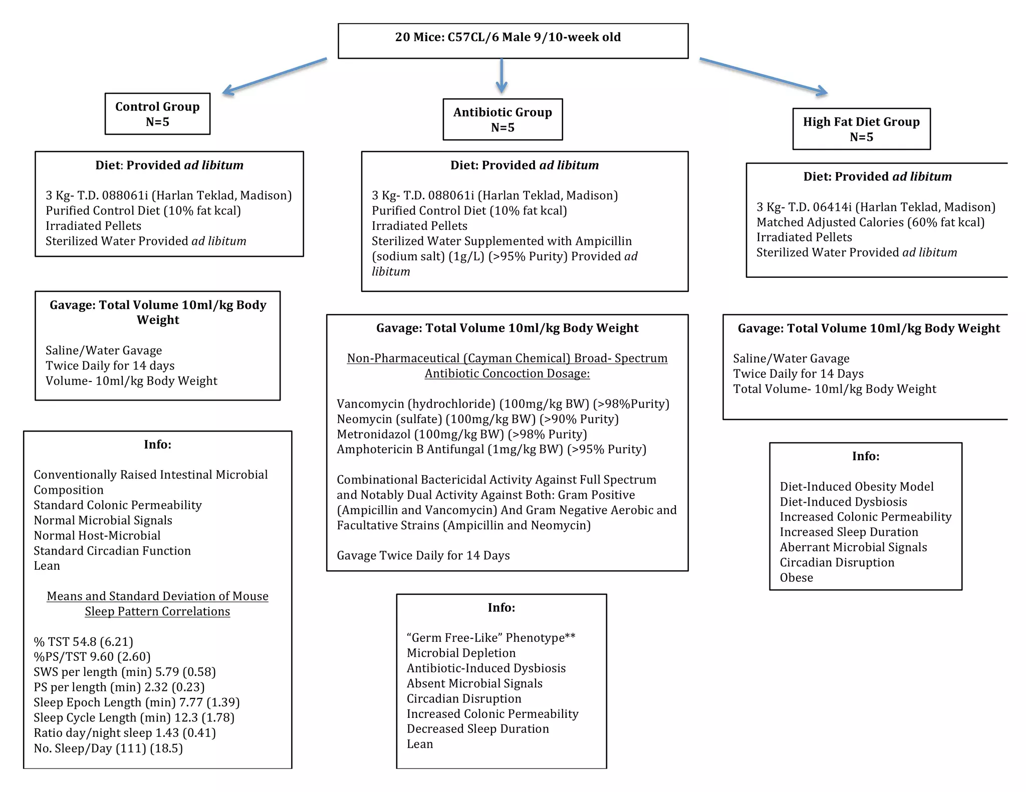 Experimental Design Flow Chart | PPT