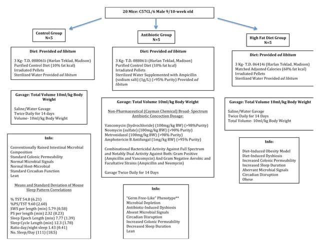 Experimental Design Flow Chart | PPT