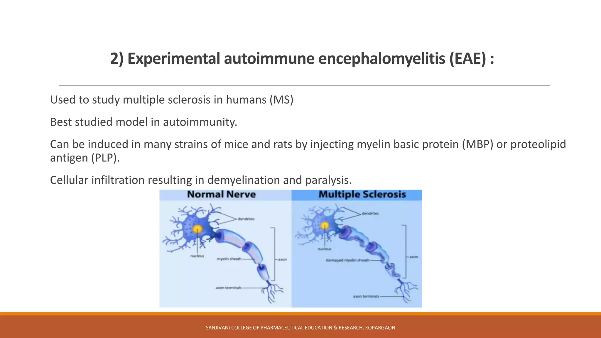 Experiment modelling of Auto-immune diseases | PDF