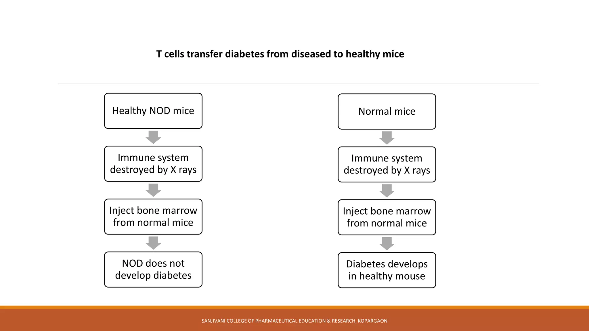 Experiment modelling of Auto-immune diseases | PDF
