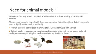 Experiment modelling of Auto-immune diseases | PDF