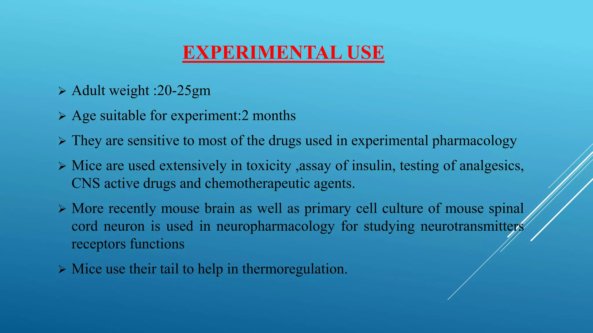 Laboratory Animal Used In Pharmacological Experiment. | PPTX