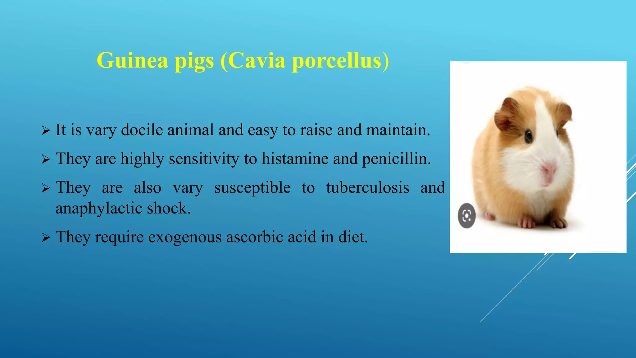 Laboratory Animal Used In Pharmacological Experiment. | PPTX