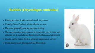 Laboratory Animal Used In Pharmacological Experiment. | PPTX