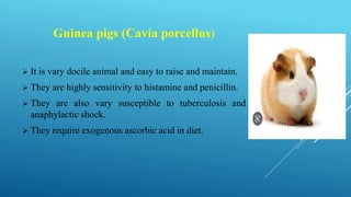 Laboratory Animal Used In Pharmacological Experiment. | PPTX