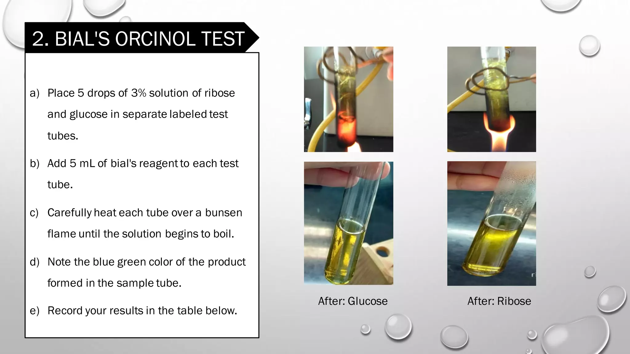 Carbohydrates - Experiment No. 3 | PDF