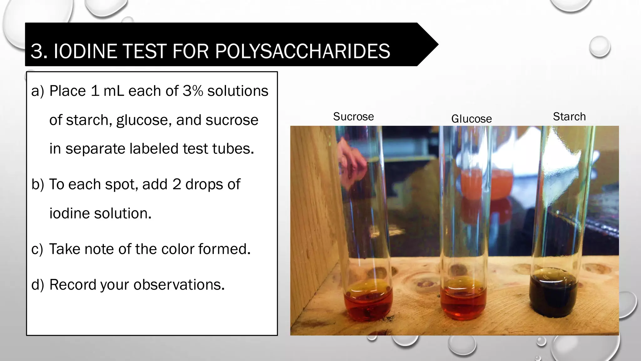 Carbohydrates - Experiment No. 3 | PDF
