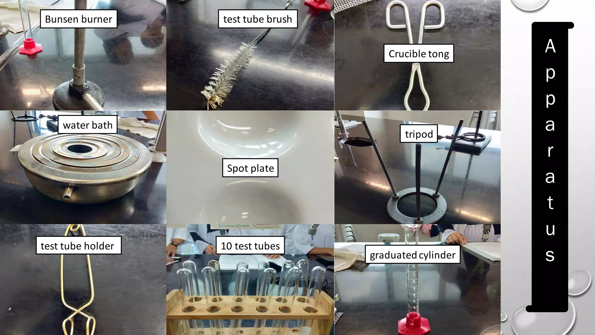 Carbohydrates - Experiment No. 3 | PDF