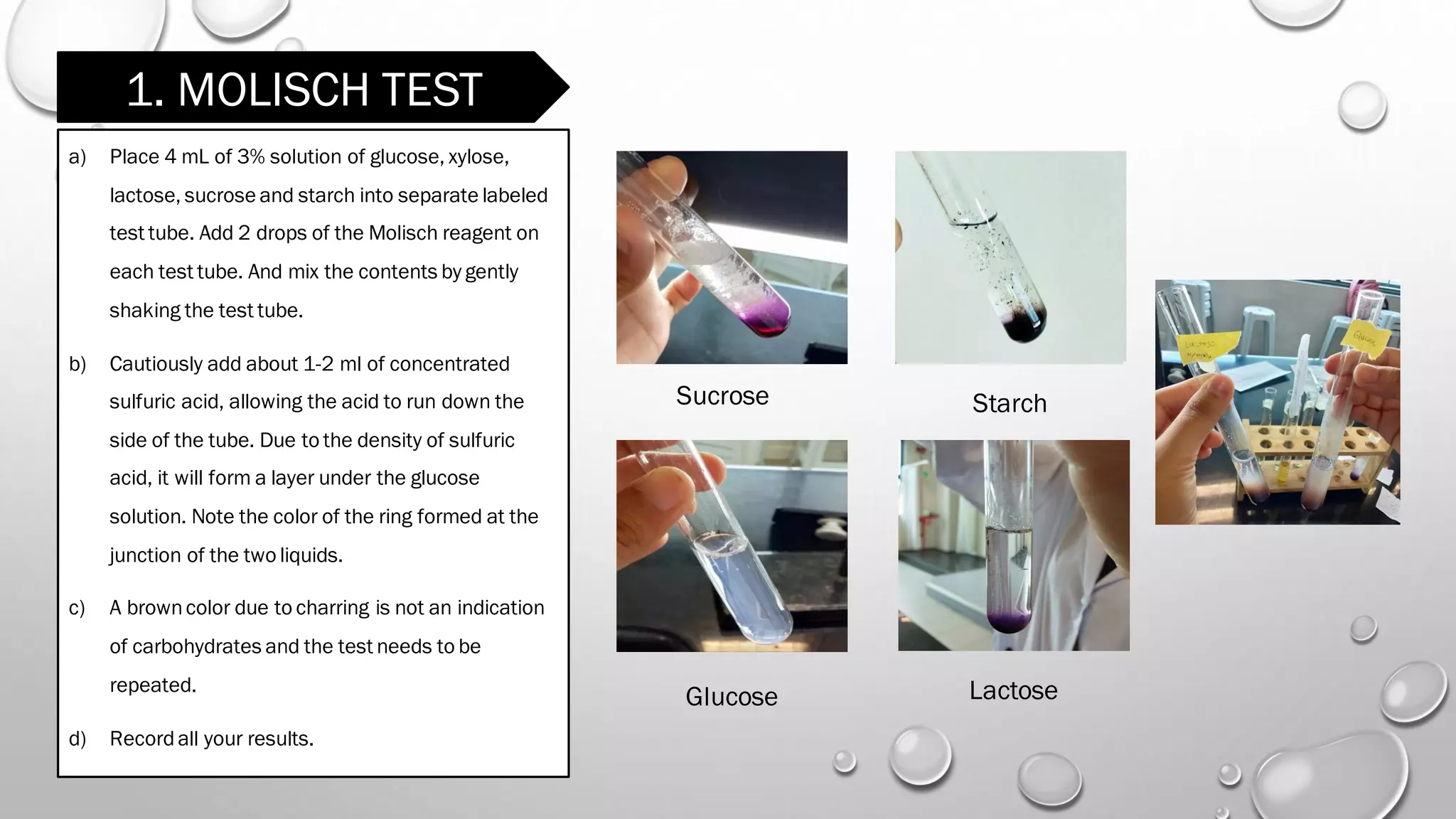 Carbohydrates - Experiment No. 3 | PDF