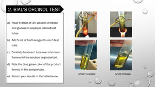 Carbohydrates - Experiment No. 3 | PDF