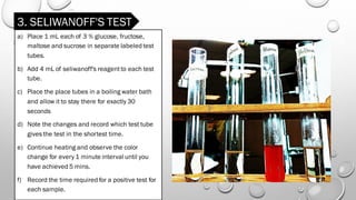Carbohydrates - Experiment No. 3 | PDF