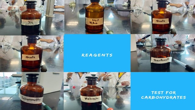Carbohydrates - Experiment No. 3 | PDF | Desserts and Baking | Food & Drink