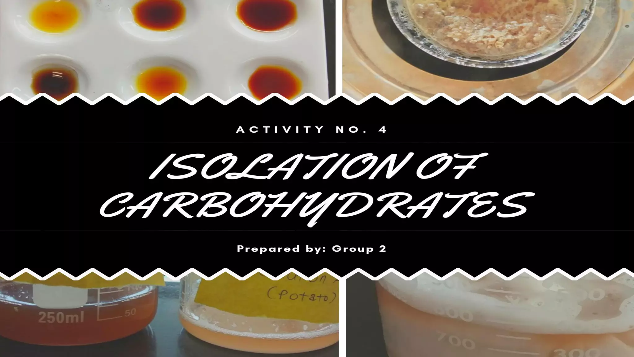 Isolation of Carbohydrates - Experiment no. 4 | PDF