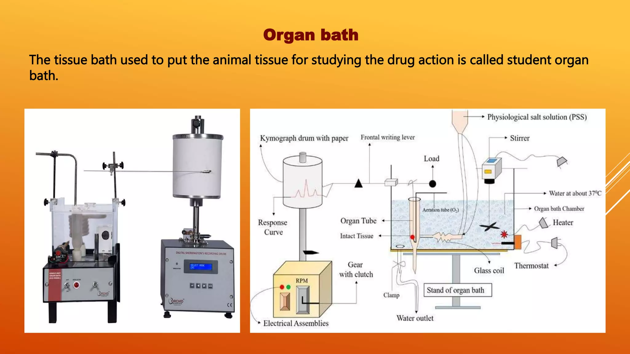 Commonly used instrument in Experimental Pharmacology | PPTX