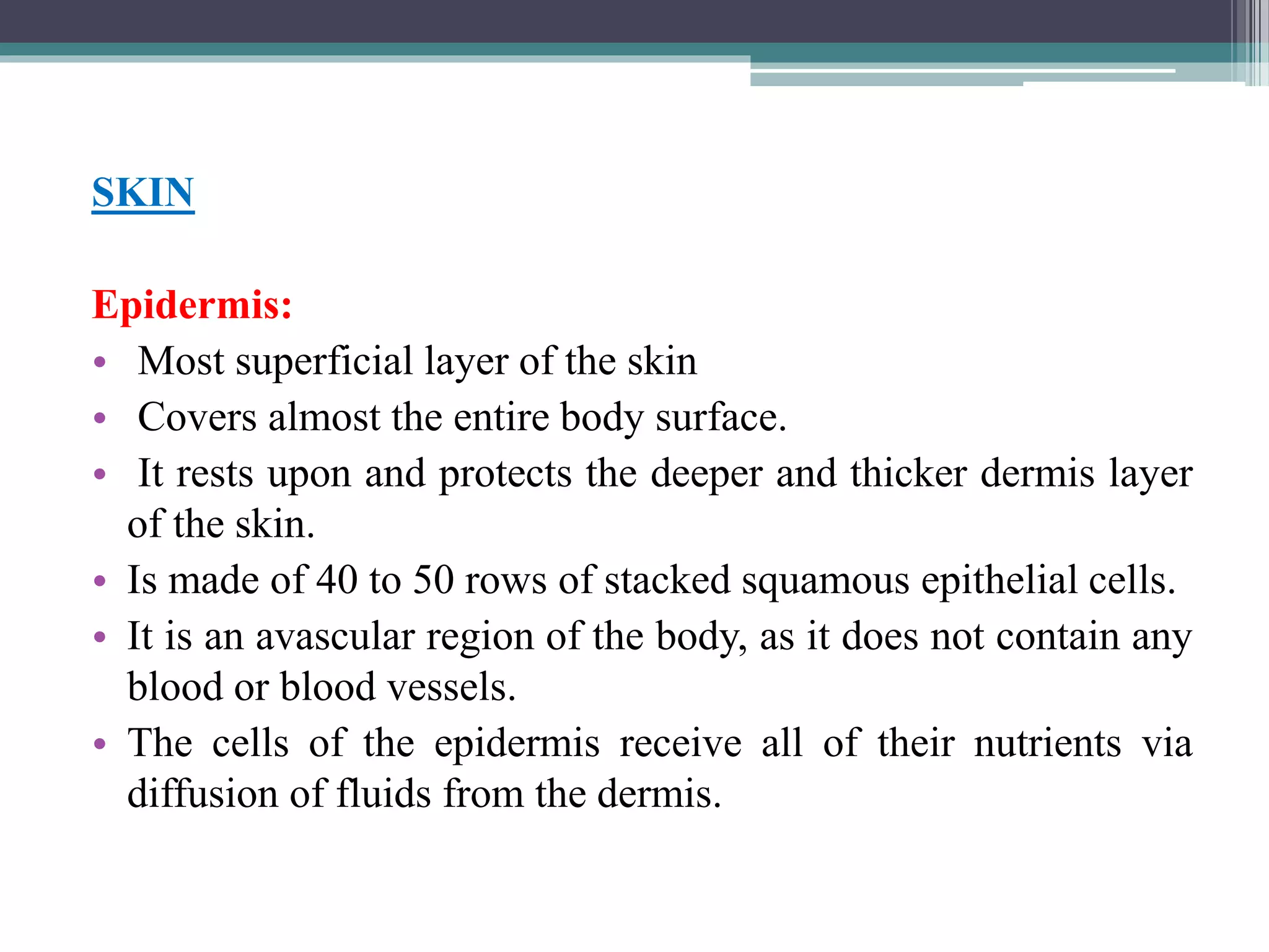 To study the Integumentary and Special senses using specimen, models | PPTX