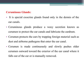 To study the Integumentary and Special senses using specimen, models | PPTX