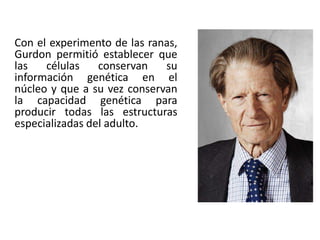 Experimento de joachin hammerling | PPT