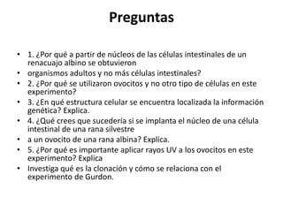 Experimento de joachin hammerling | PPT