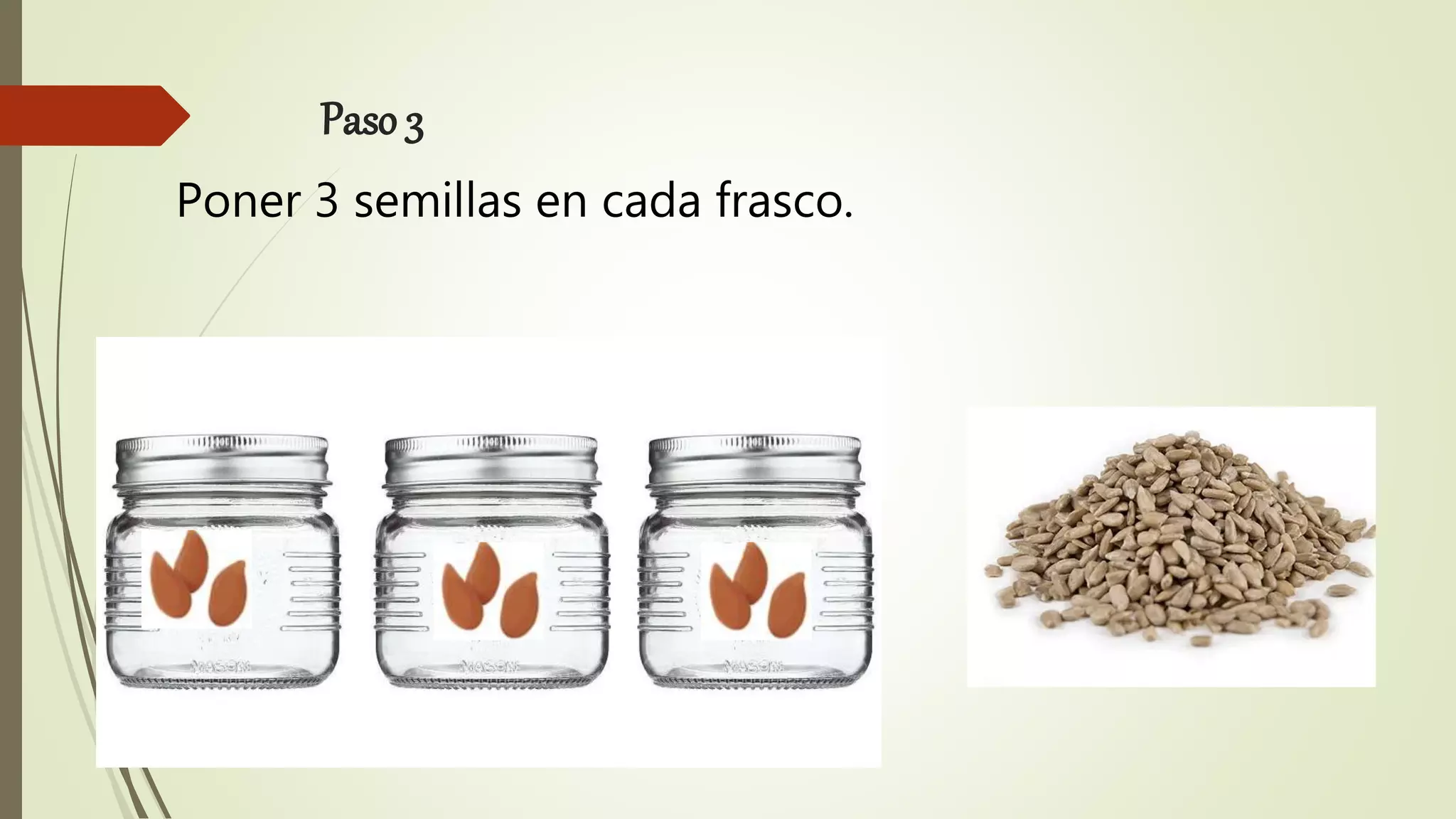 Experimento de las plantas.pptx