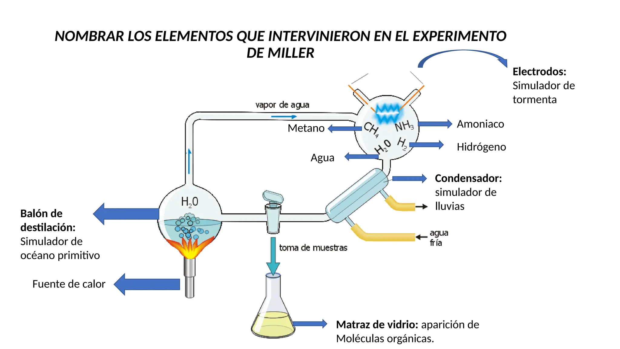 Experimento de Miller diapositivas para biologia | PPTX
