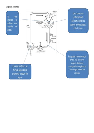 Experimento de miller y urey | DOCX