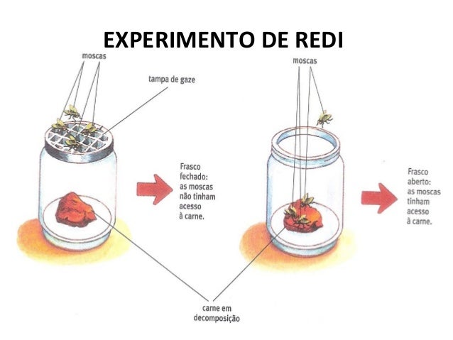 Experimento de redi