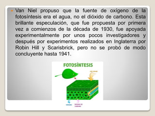 Experimento de Van Neil | PPTX