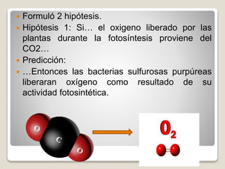 Experimento de Van Neil | PPTX