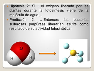 Experimento de Van Neil | PPTX