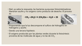 Experimento de Van Niel | PPTX