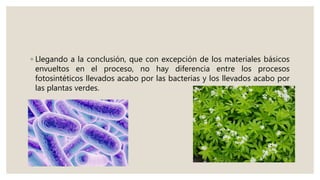 Experimento de Van Niel | PPTX