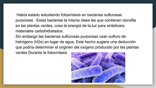 Experimento de van niel | PPTX