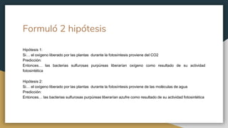 Experimento de van niel | PPTX