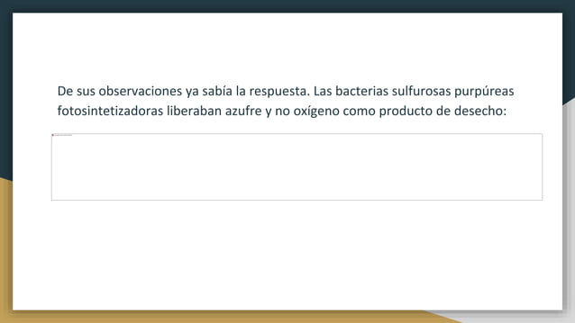 Experimento de van niel | PPTX