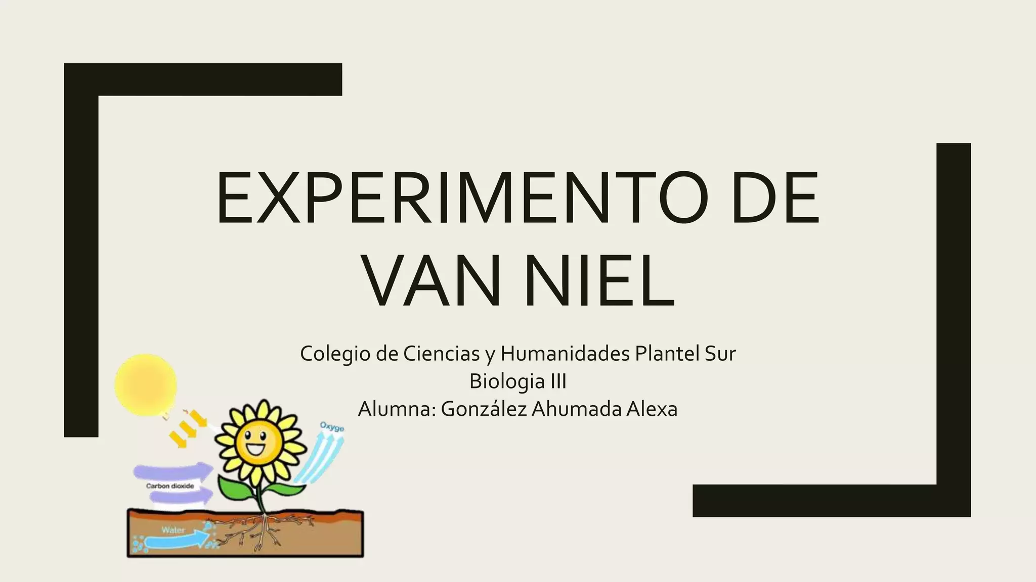 Experimento de van niel | PPT
