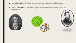 Experimento de van niel | PPTX