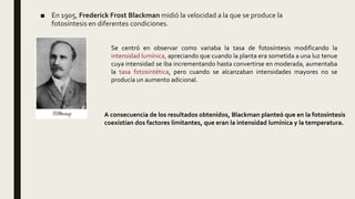 Experimento de van niel | PPTX