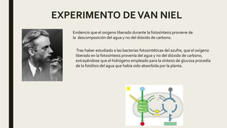 Experimento de van niel | PPTX
