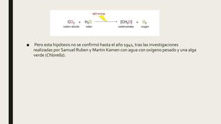 Experimento de van niel | PPTX