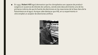 Experimento de van niel | PPTX
