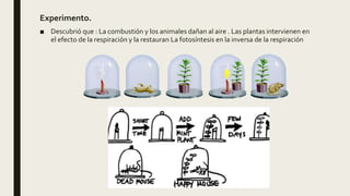 Experimento de van niel | PPTX