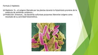 Experimento de van niel | PPTX
