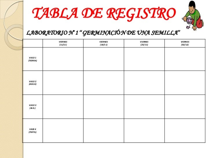 Experimento germinación de una semilla