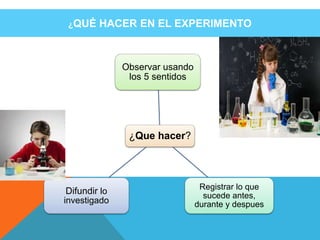 Experimentos | PPT