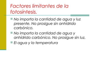 Experimentos de van niel | PPT
