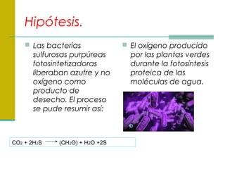 Experimentos de van niel | PPT