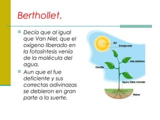 Experimentos de van niel | PPT
