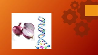 Experimentos práticos.pptx