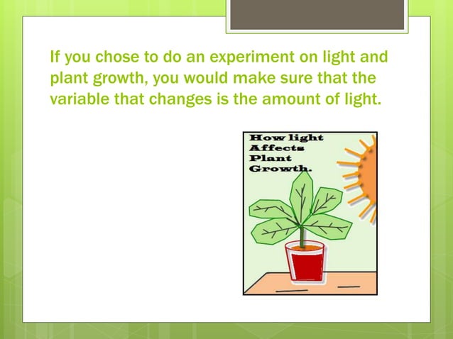 Experiment powerpoint