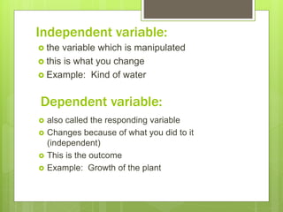 Experiment powerpoint | PPT